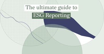 ESG Reporting. The Ultimate Guide (2025) | Datylon